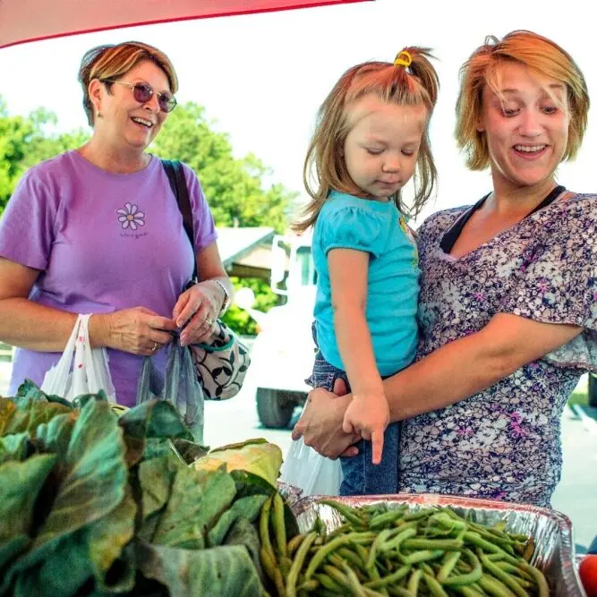 Women, Infants, and Children (WIC) Program Recommendations - State of ...