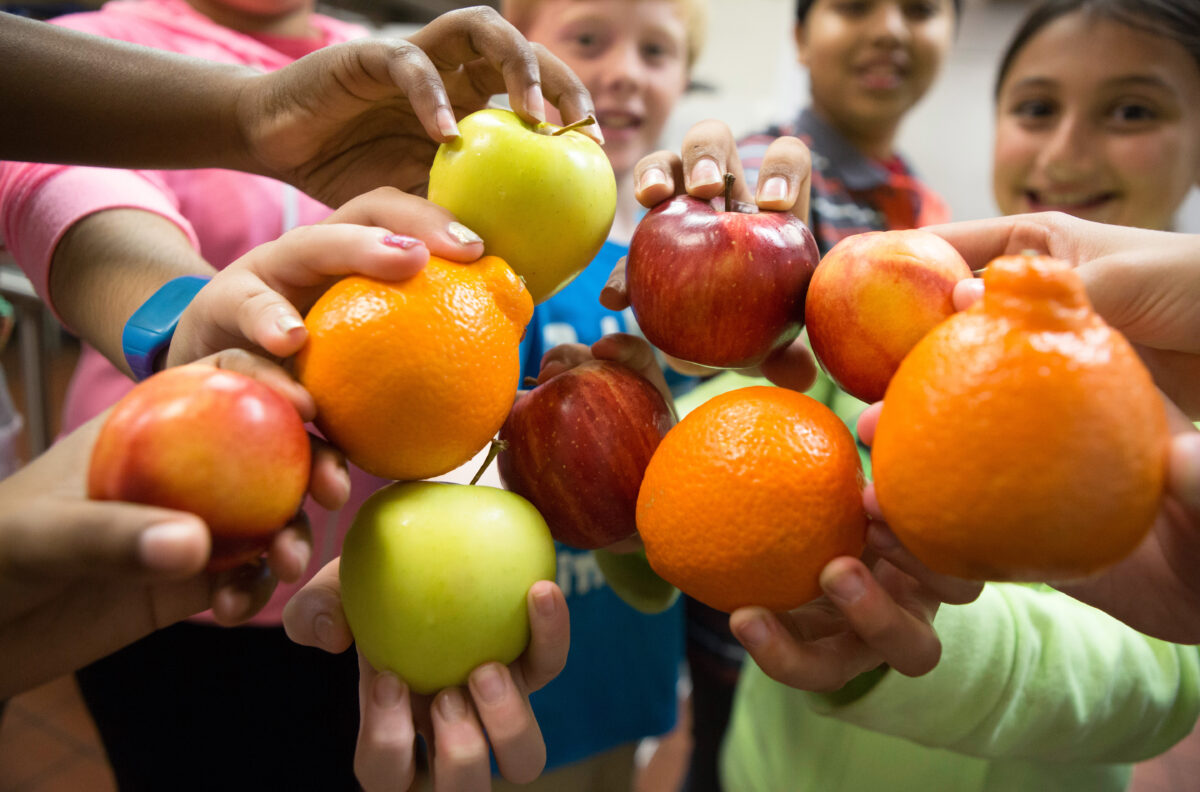 Policy Solutions for Summer Food Security - State of Childhood Obesity